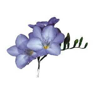 Freesia Single Blue Bulbs 20 Per Pack